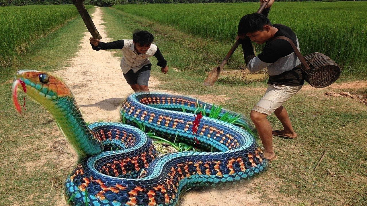 Amazing!! Two Man Catch Snake Very Big While Driving Motorcycle After Fishing - Catch Biggest ...
