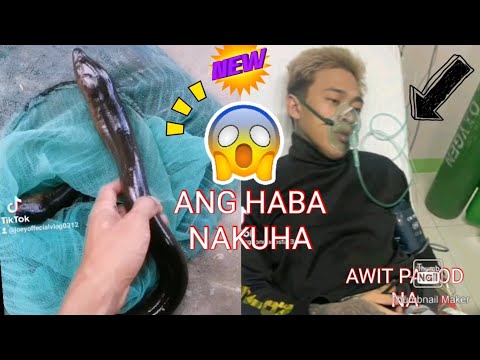 tiktok compilation/Awit gamer/joey official vlog - YouTube