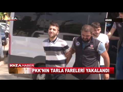 PKK’NIN TARLA FARELERİ YAKALANDI