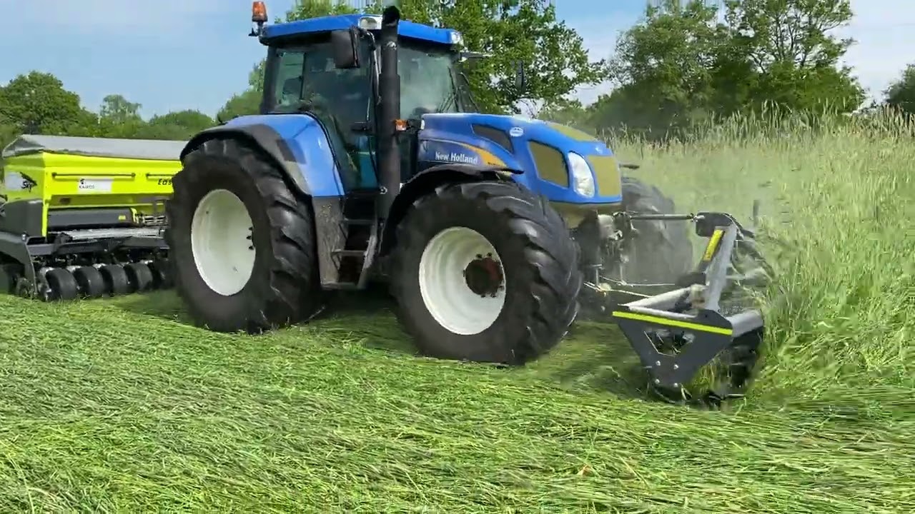 Boekweit in gerolde Winterrogge & Winterwikke bij KAIROS Regeneratief ...