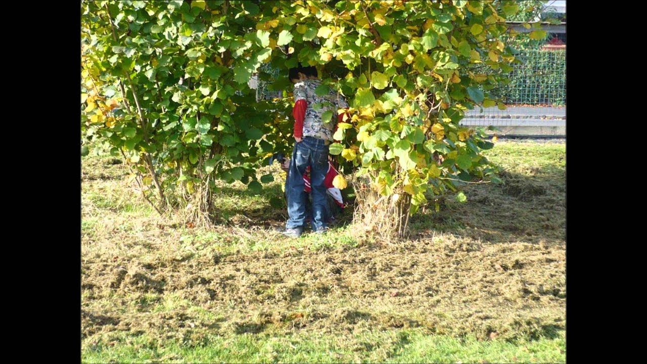 Play Cycle - YouTube