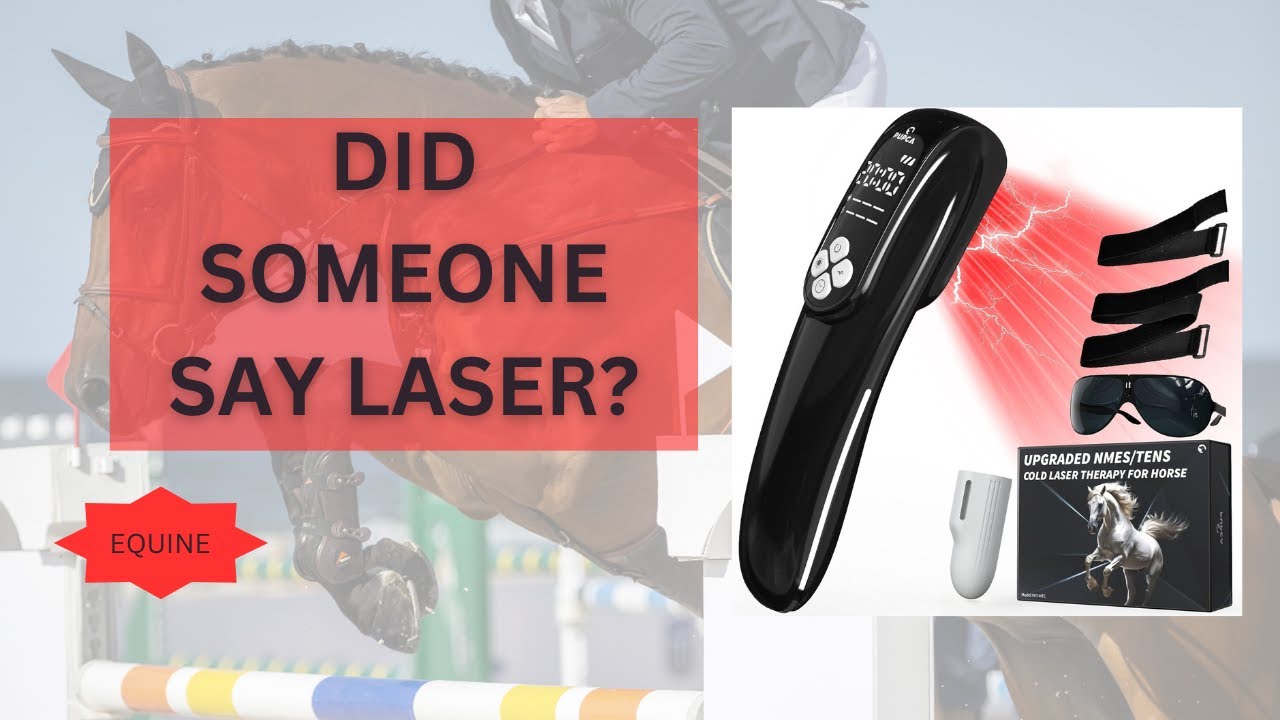 Red Light Equine Cold Laser Therapy/Electrical Stimulation Therapy #ad ...