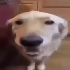 Butta dawg - YouTube