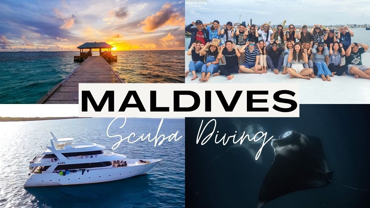 Maldives Scuba Diving - The Best of the Maldives (Standard route ...