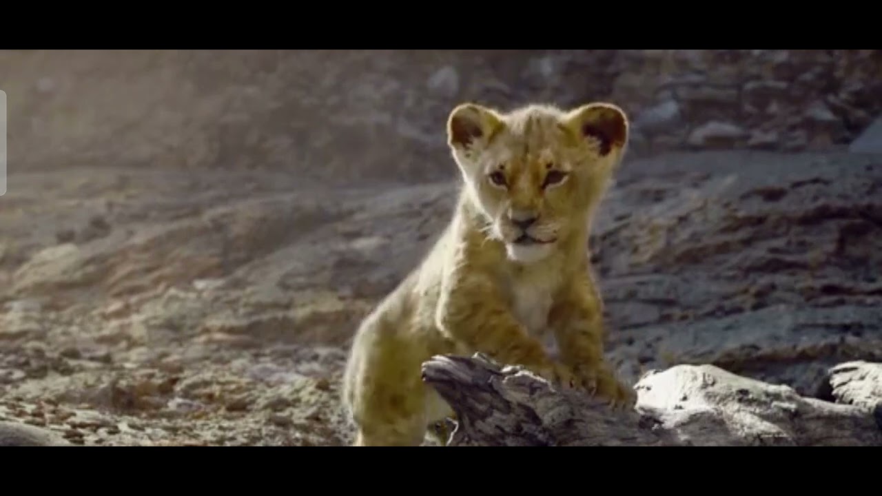 The lion King death scene 😢😭 - YouTube