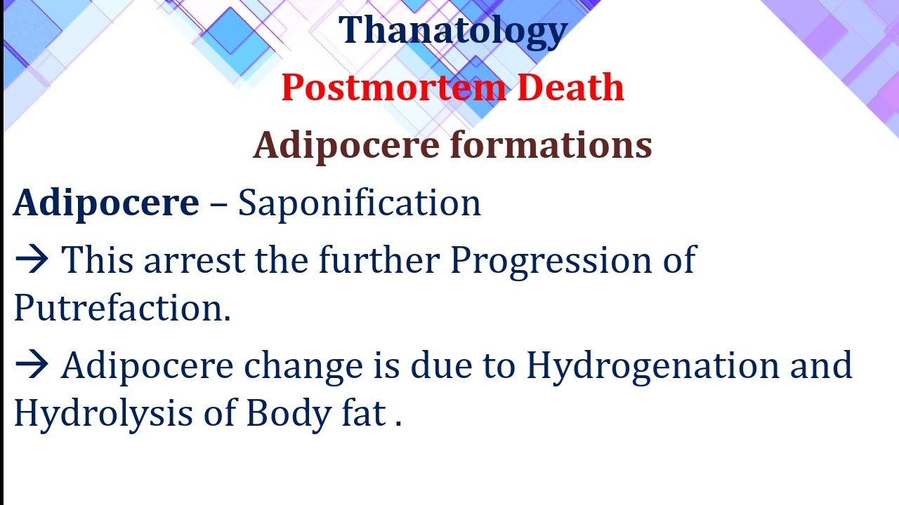 Adipocere Saponification