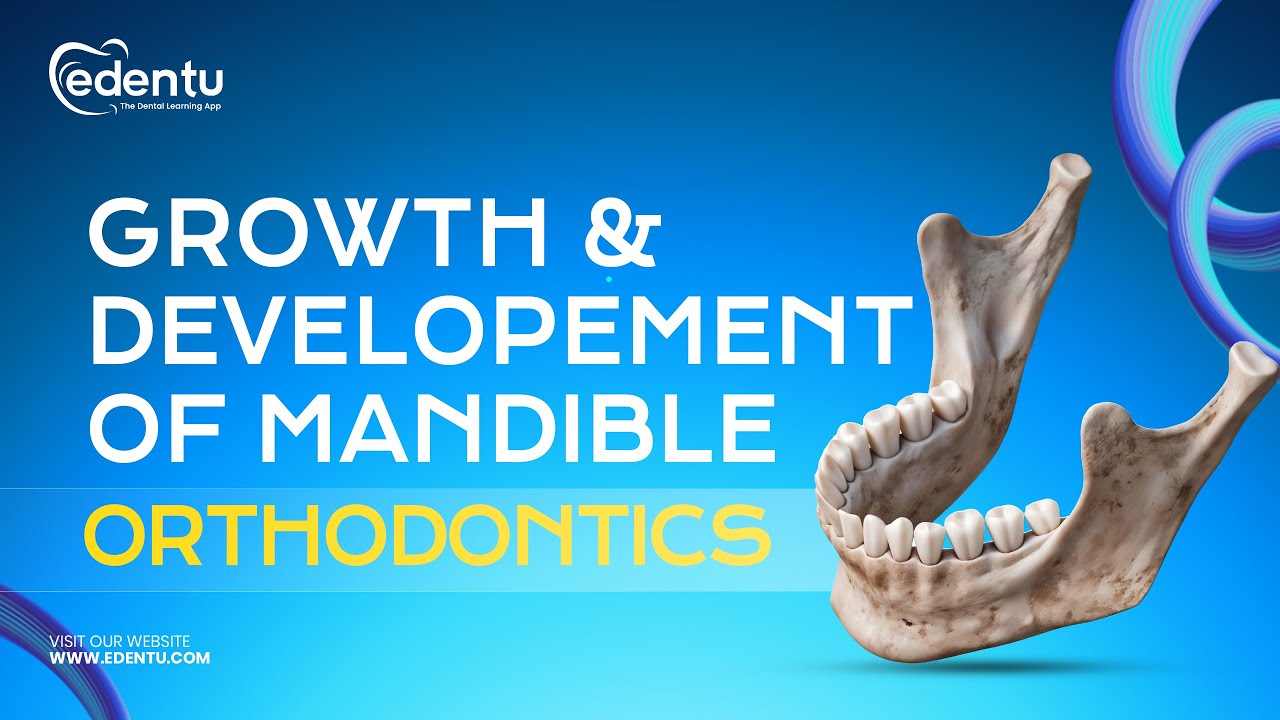 Growth & Developement of Mandible | Orthodontics - YouTube