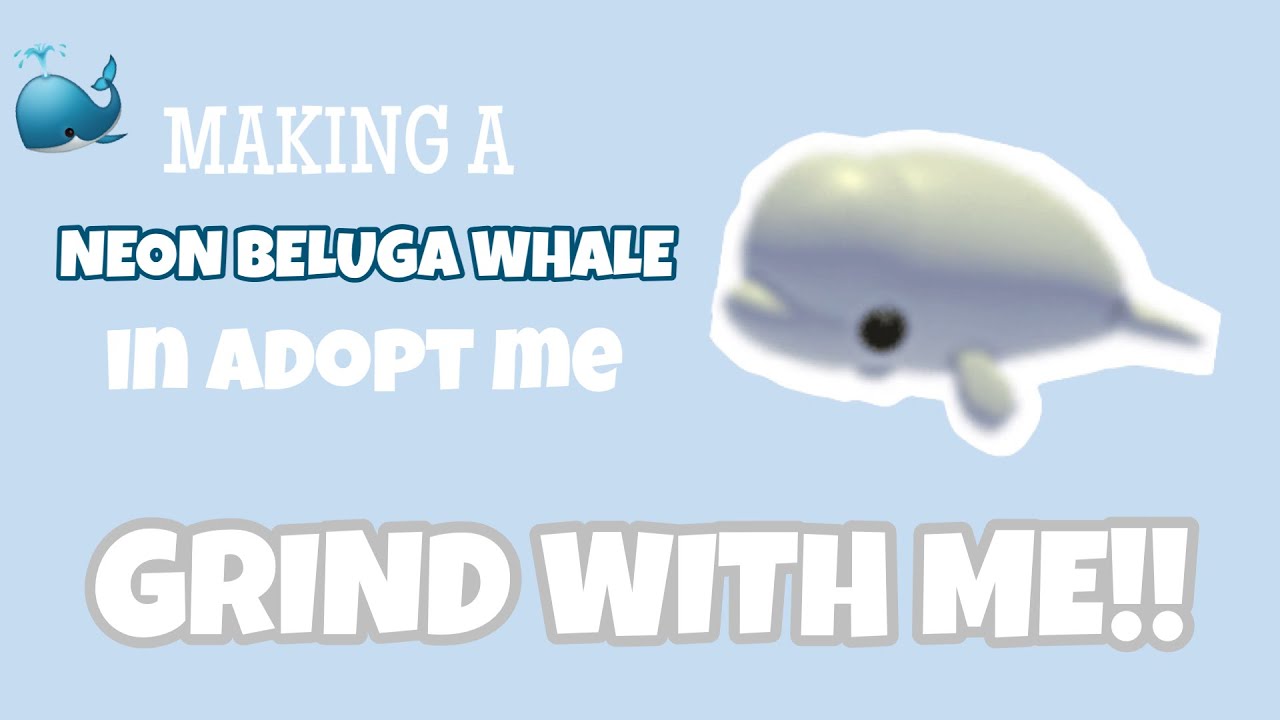 GRIND WITH ME // NEON BELUGA WHALE 🐳 (in adopt me) - YouTube