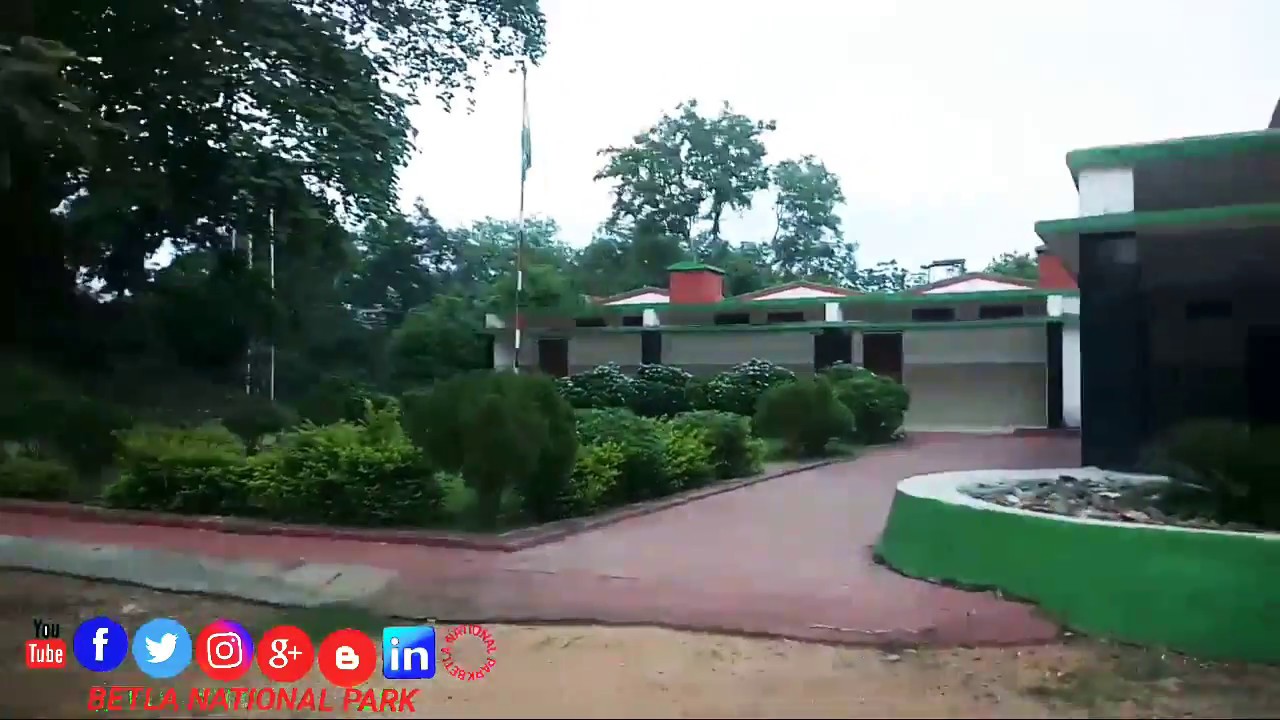 Betla Forest Betla national Park - YouTube