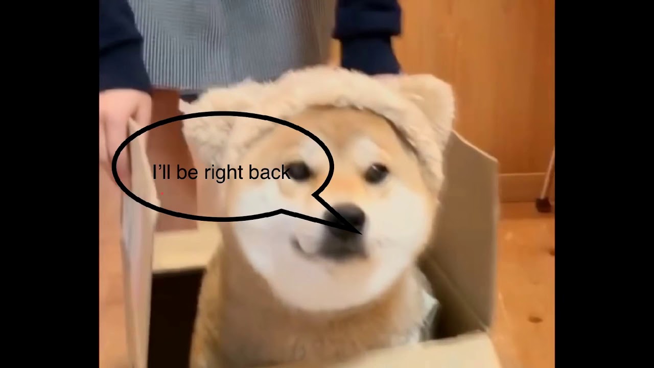 This is a meme - YouTube