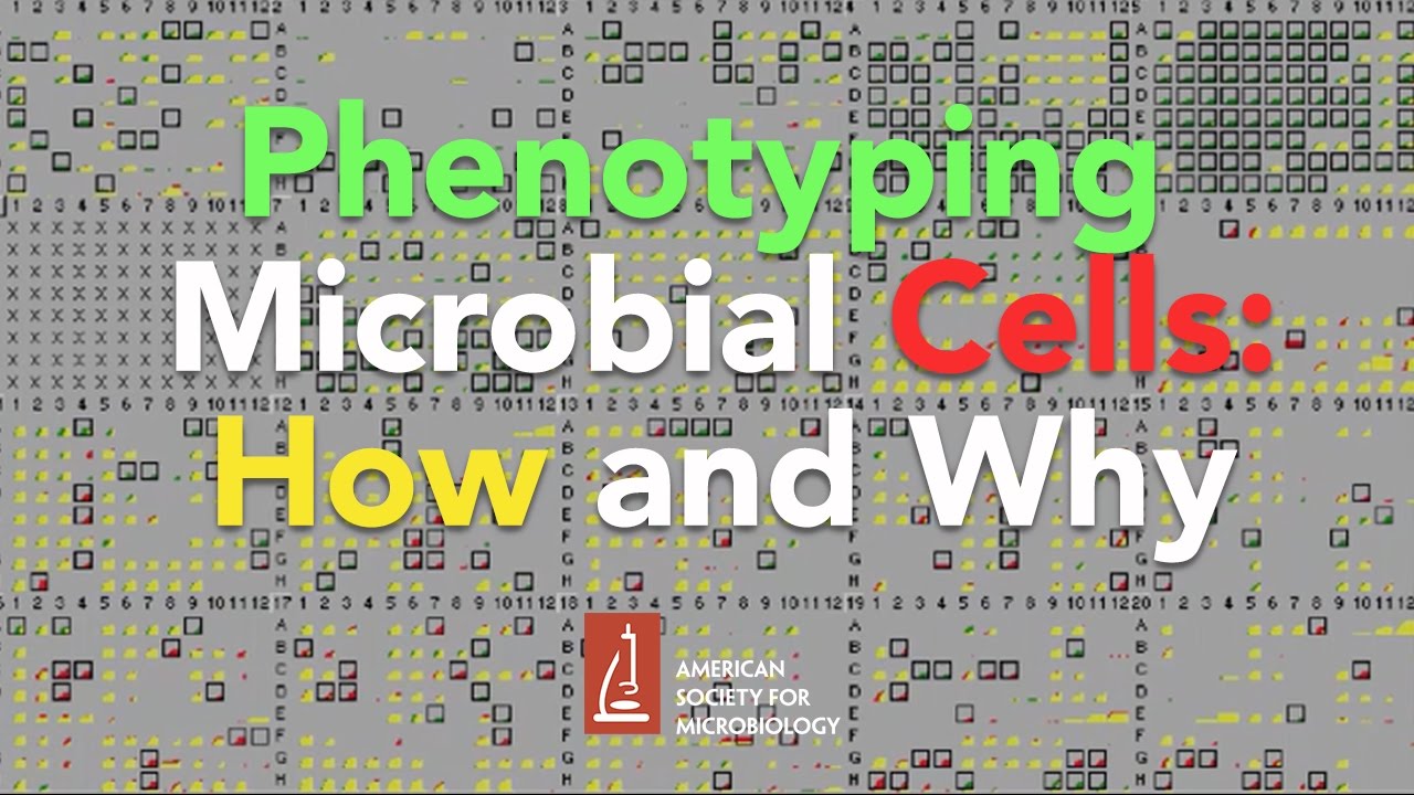 Phenotyping Microbial Cells: How and Why by Barry Bochner, Biolog, Inc ...