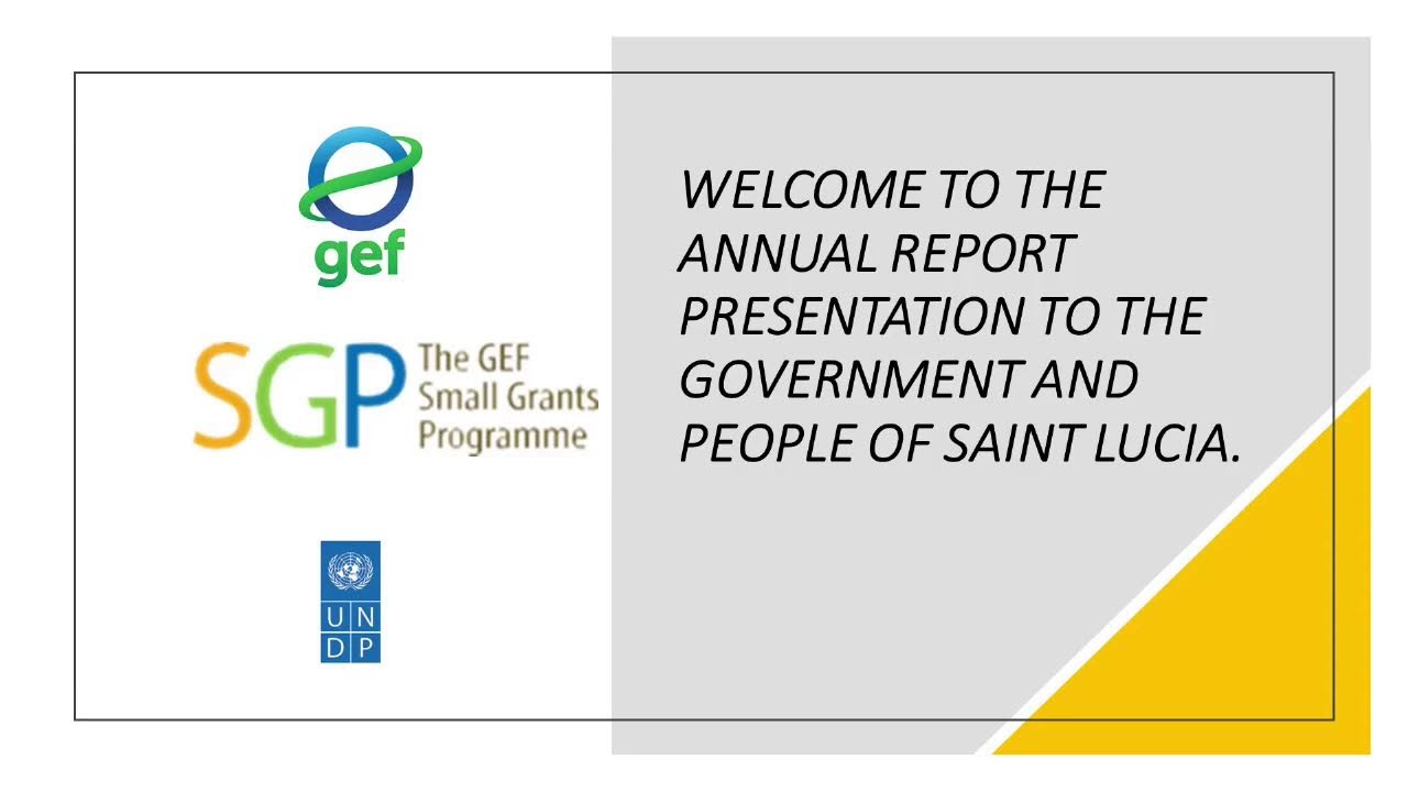 Presentation of the GEF SGP UNDP’s Annual Report (July 6, 2023) - YouTube