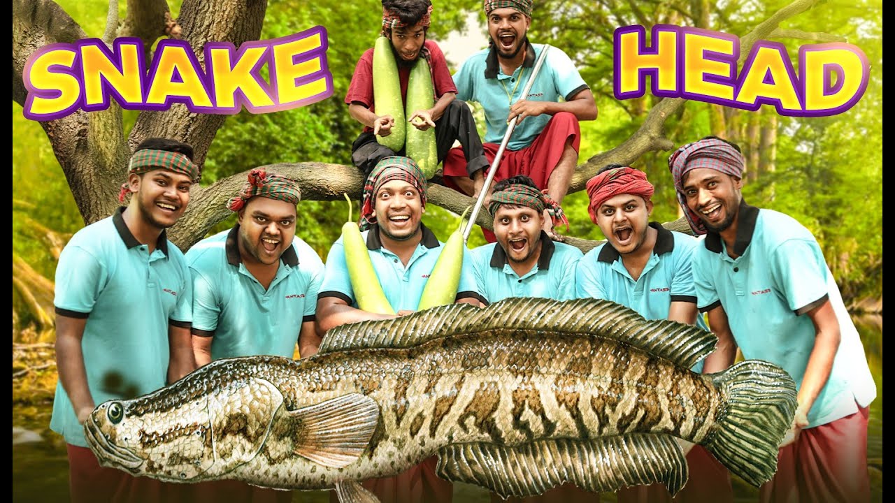 SNAKEHEAD MURREL FISH COOKING | Epic River Fish Fry Cooking In Village ...