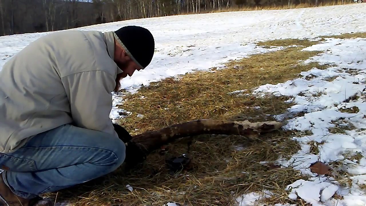 Pennsylvania Trapping - The Hay Set Pt. 3 - YouTube