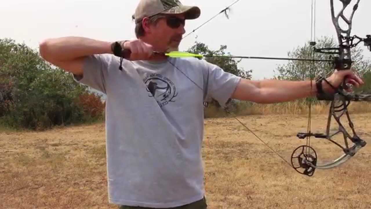 WebXtra September: Bear Archery Arena 34 Bow Report - YouTube