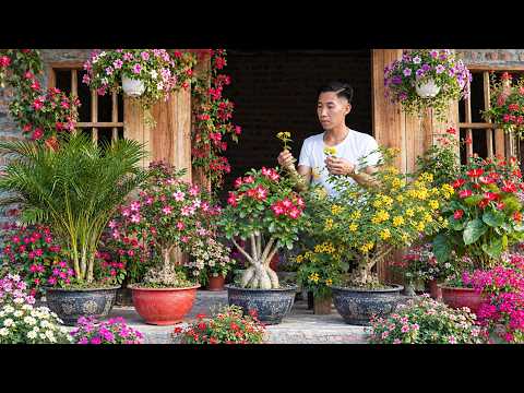 Rich CEO Turns His Forest Home Into a Beautiful Garden | Off-Grid Living