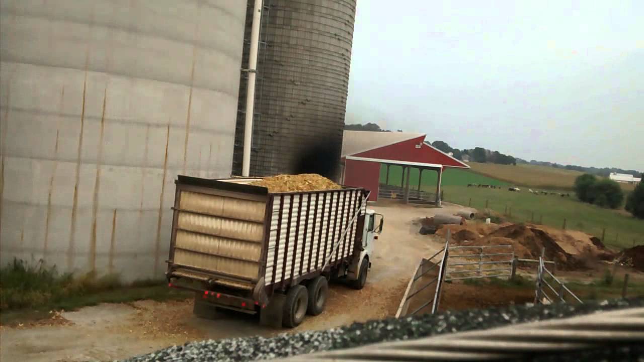 Unloading Corn Silage - YouTube