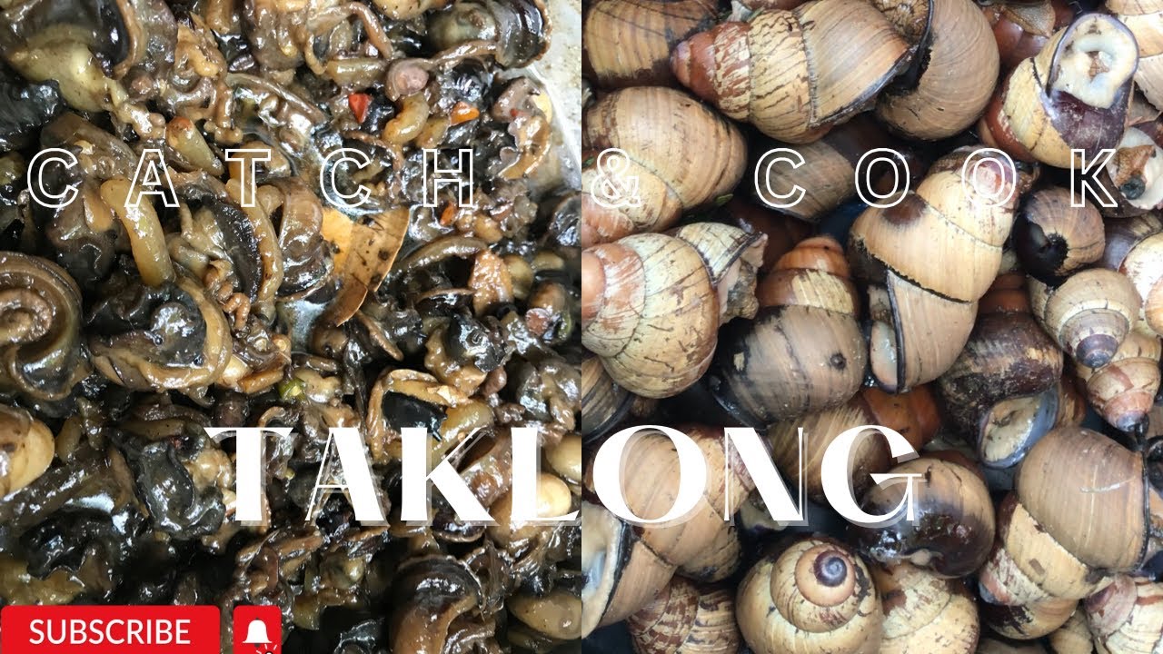 Catch and Cook PHILIPPINE FOREST SNAIL or "TAKLONG". - YouTube