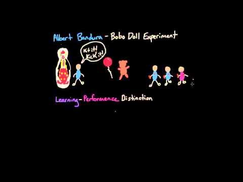 Observational Learning: Bobo Doll Experiment and Social Cognitive ...