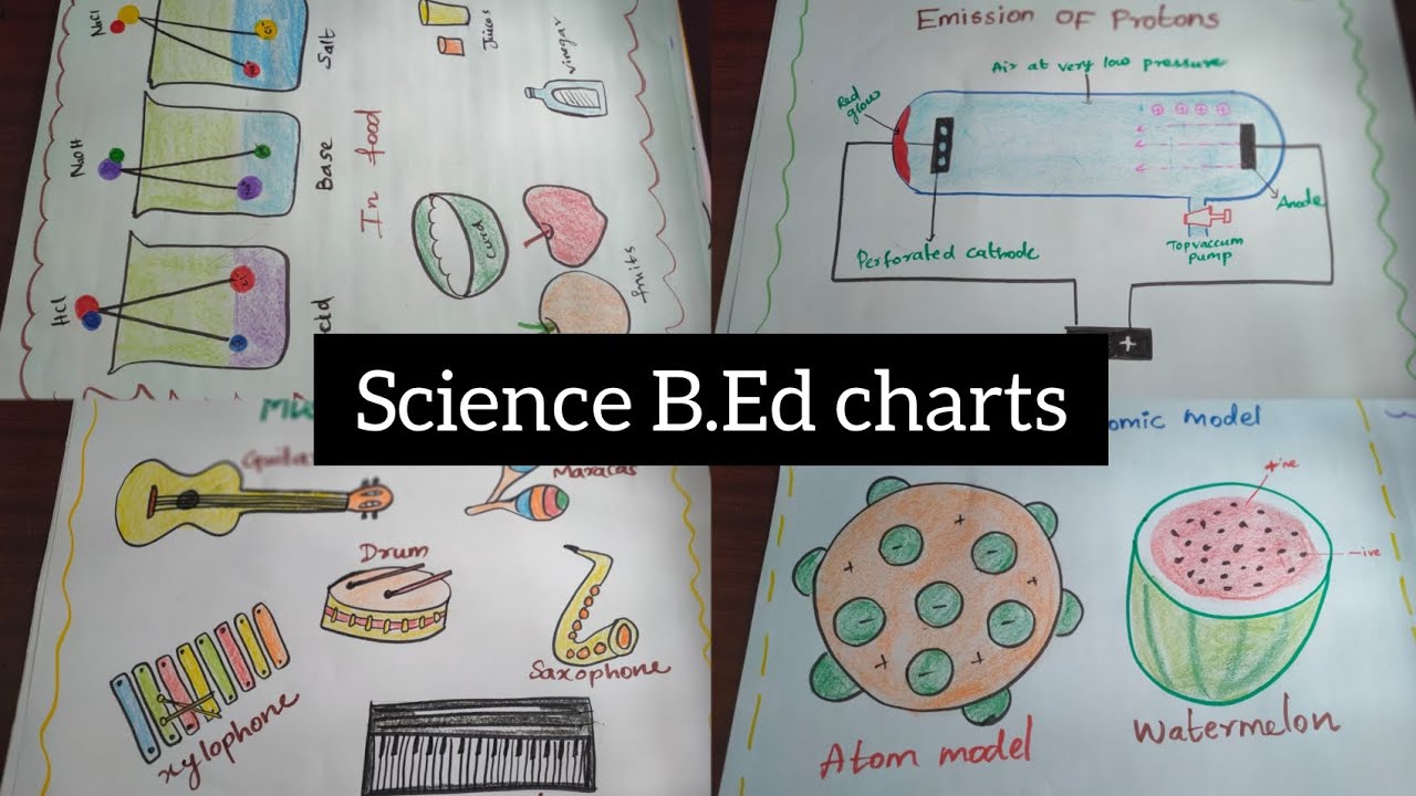 Science B.Ed charts ( 6th - 9th ) - YouTube