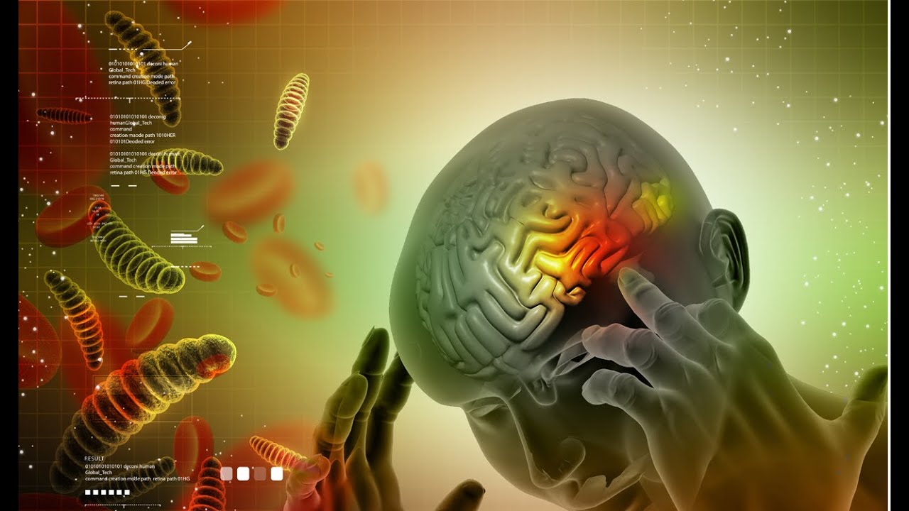 Kerala brain eating amoeba | Naegleria fowleri - YouTube