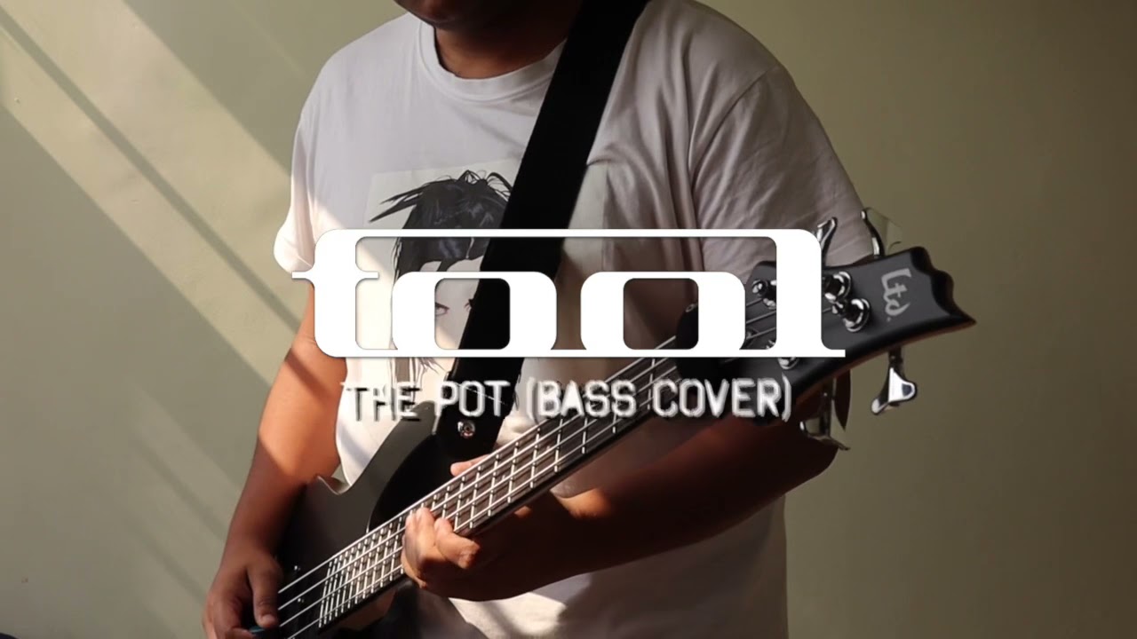 Tool - The Pot (Bass Cover) - YouTube