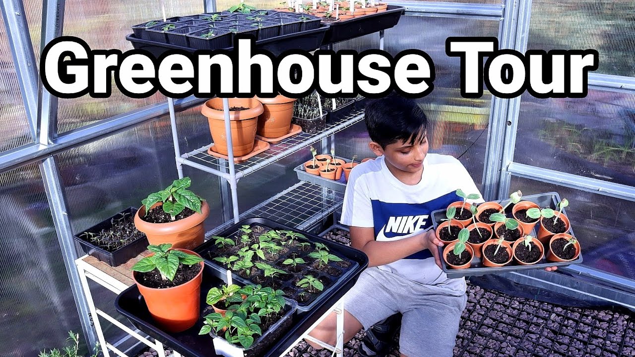 Gardening Tips & Update - March Greenhouse Tour - YouTube