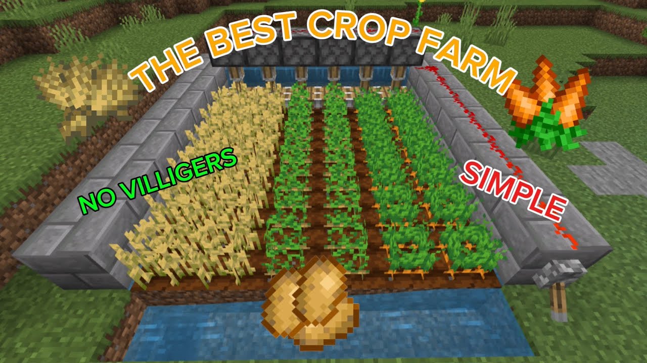 THE BEST BEGINNER CROP FARM MINECRAFT BEDROCK: 1.20.7 - YouTube
