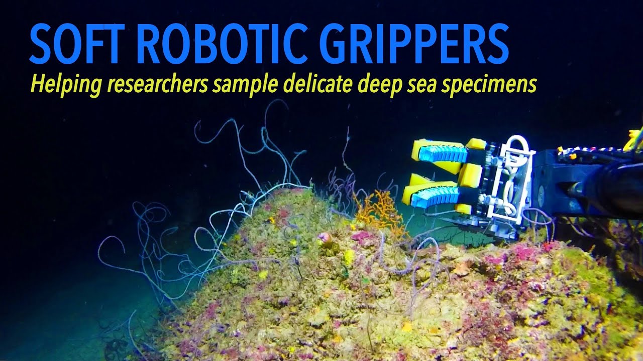 Soft Robotic Grippers For Deep-Sea Exploration - YouTube