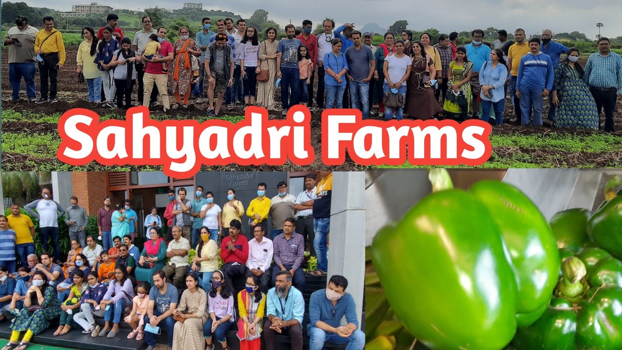 Sahyadri Farms Nashik Tour: Part 2#organicfarm - YouTube
