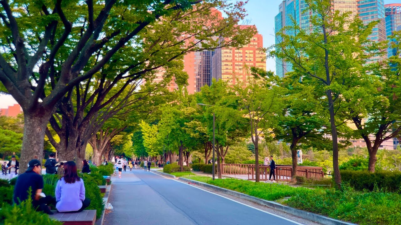 From Streets to Serenity: Exploring Boramae Park | Street Walker Korea ...