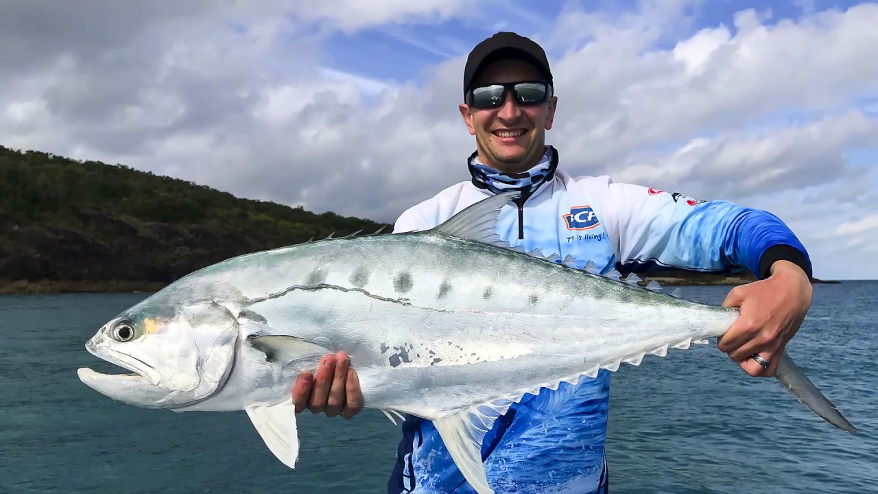 Mackay Fishing Offshore - Queenfish on Surface - YouTube