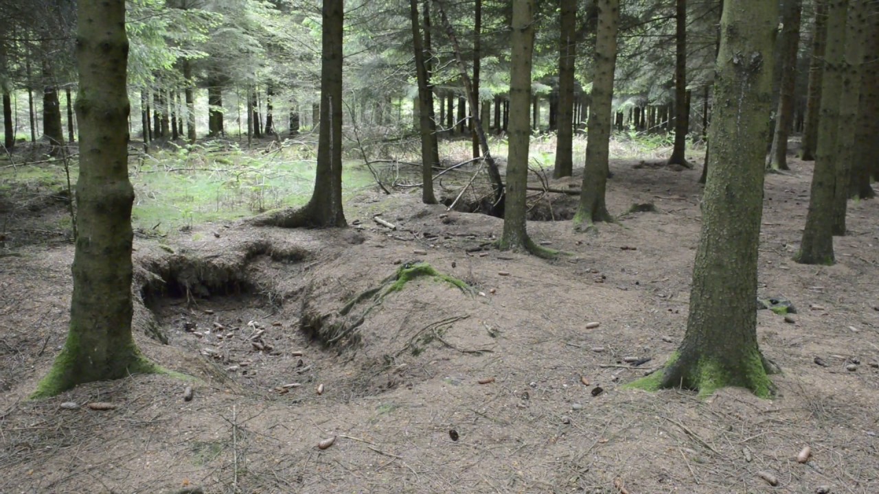 BOIS JACQUES 2019 TRINCHEIRAS, Bastogne (Bélgica) [HD] - YouTube