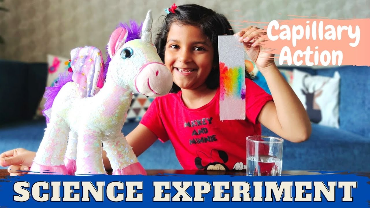 Easy Capillary Action Science Experiments for Kids | Easy Science ...
