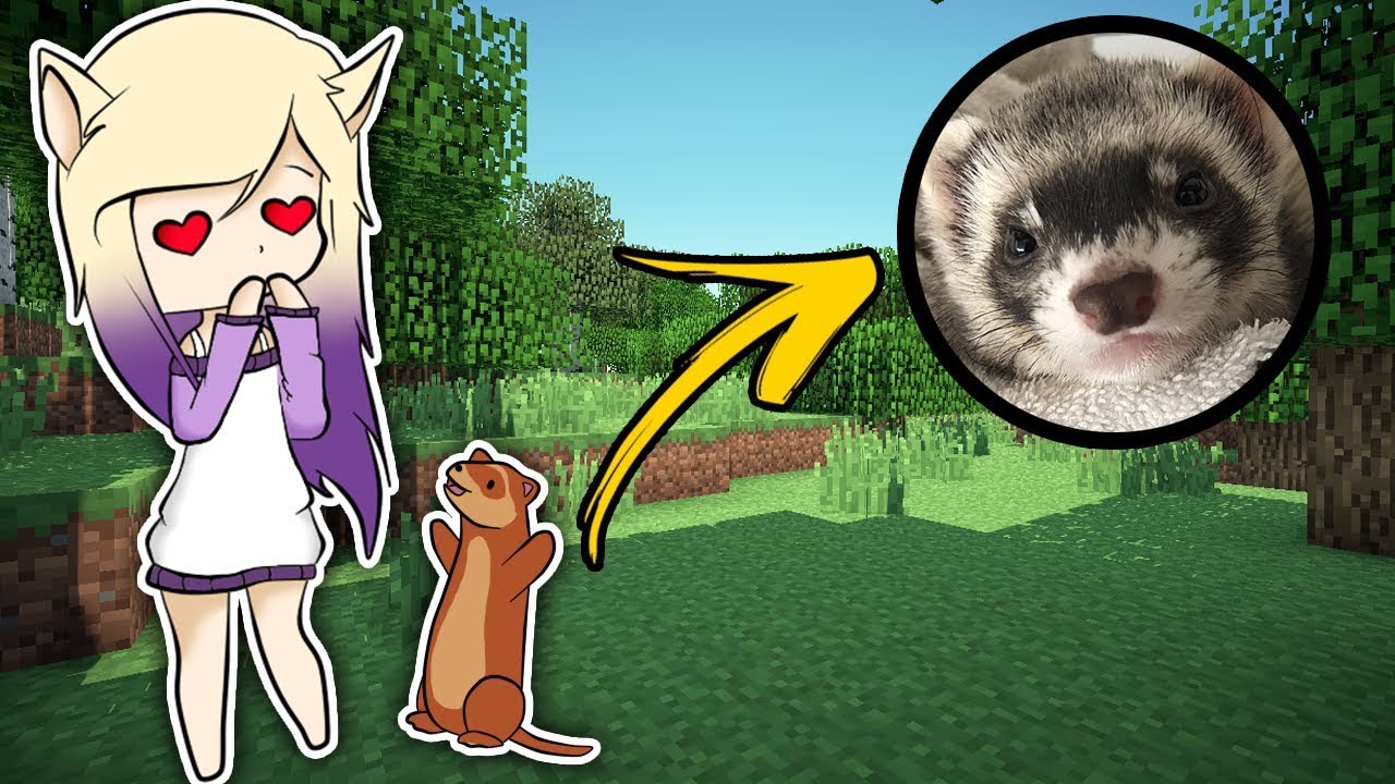 ENCONTRAMOS A LA BEBÉ HUMITA EN MINECRAFT | Survival con Lyna 3 | Ep 5 ...