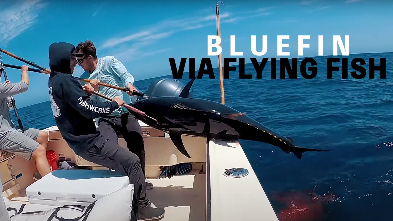 Fishing Frozen Flying Fish for Bluefin Tuna - YouTube