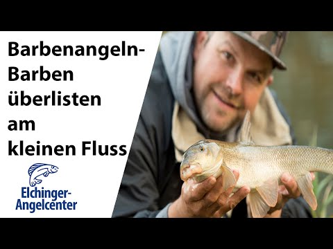 Barbenangeln - wie man Barben überlistet - Zielfisch Barbe