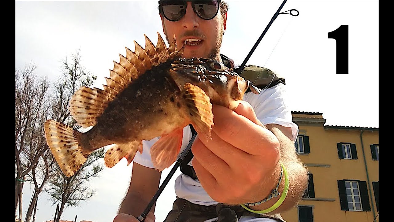 Light Rock Fishing nel Tirreno: i colori del Mediterraneo! - Toscana ...