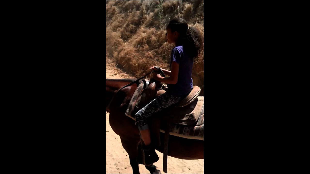 Saddle up partner !!!!! Hollywood Hills ala bonanza!!!!! Horseback ...