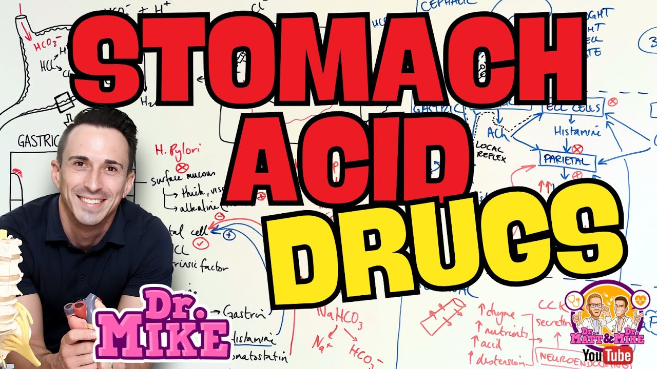 Stomach Acid & Acid Reducing Drugs - YouTube