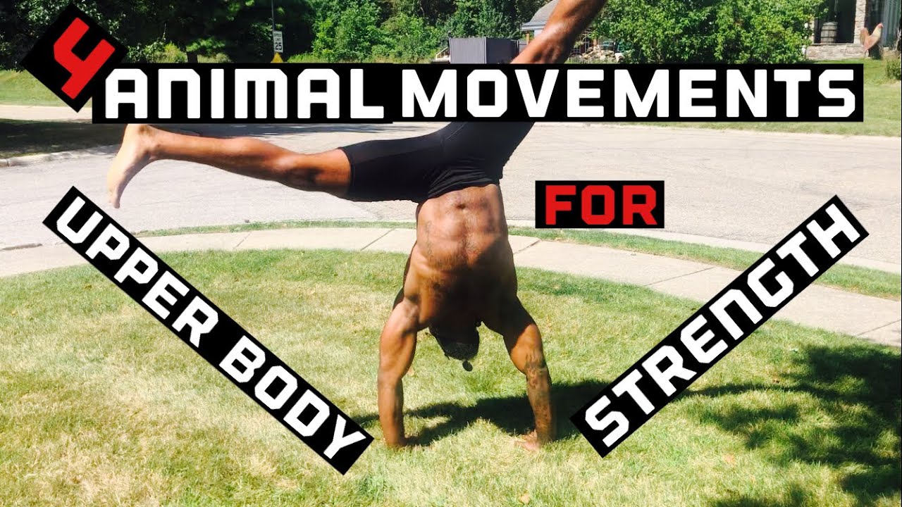 4 ANIMAL MOVEMENTS FOR UPPER BODY STRENGTH & MOBILITY 👊🏾🔥!!! - YouTube