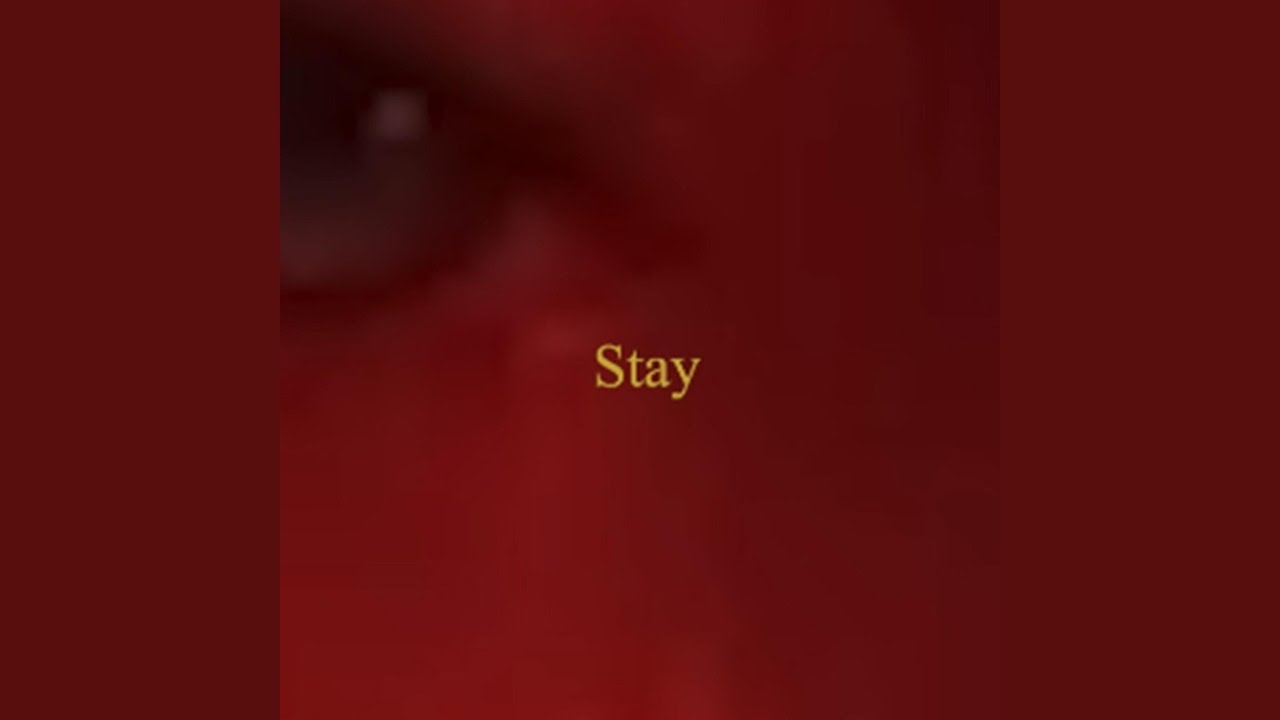 Stay - YouTube