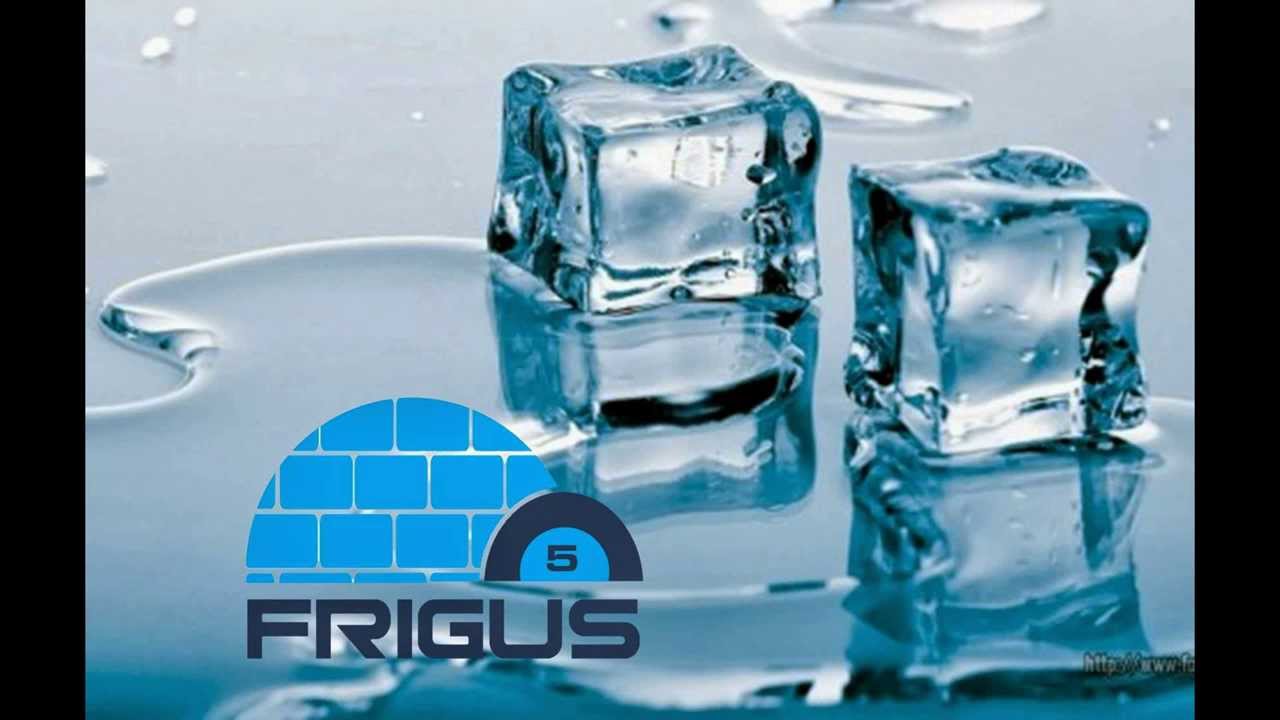 PRESENTACION COMERCIAL FRIGUS 5 - YouTube