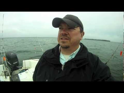 55 Pound Santee Blue Catfish - YouTube