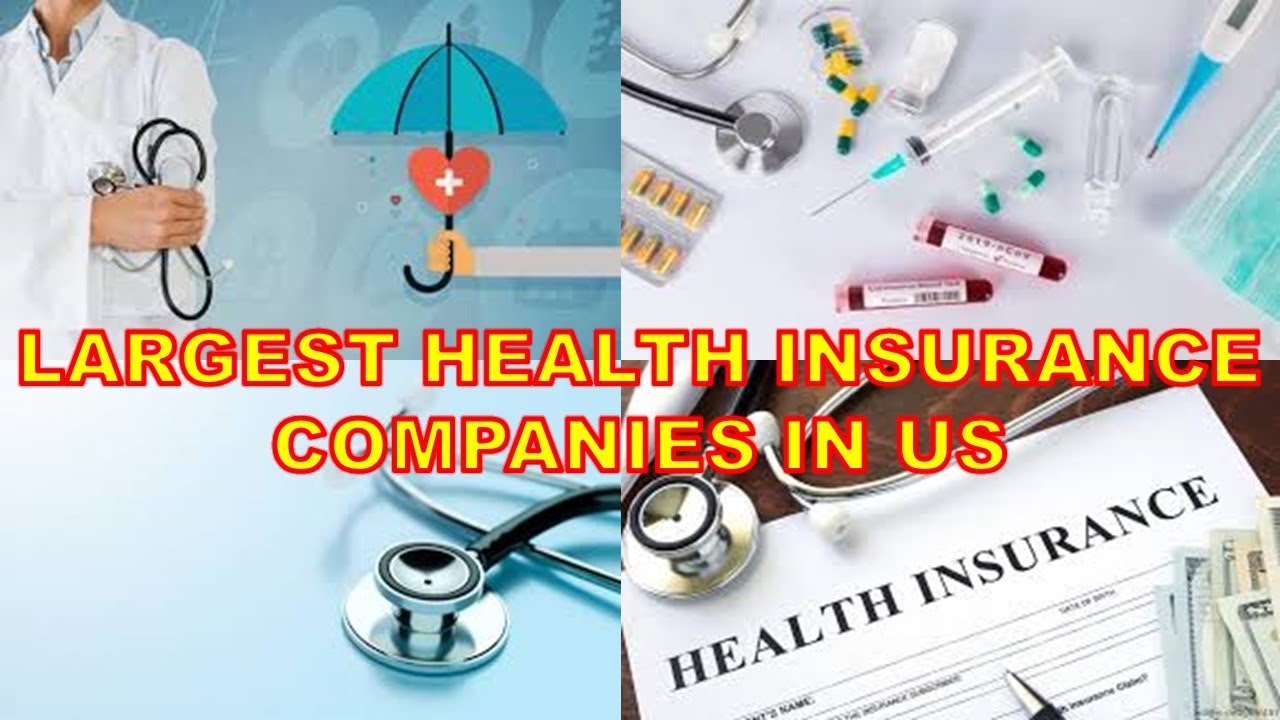 Largest Health Insurance Companies in US 2024 | How U.S. Health ...