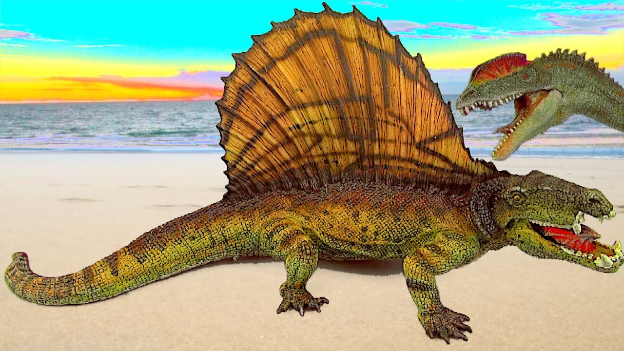 Dinosaur Fight Dinosaurs Battle Dimetrodon vs Dilophosaurus Dinos 공룡 ...