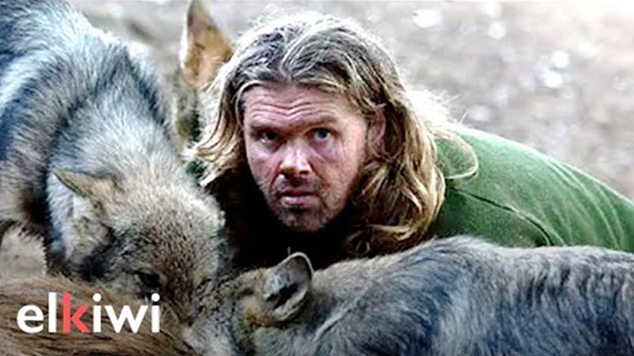 Lobo Arrebatando A Un Humano No Más Que Un Humano. – Campos De