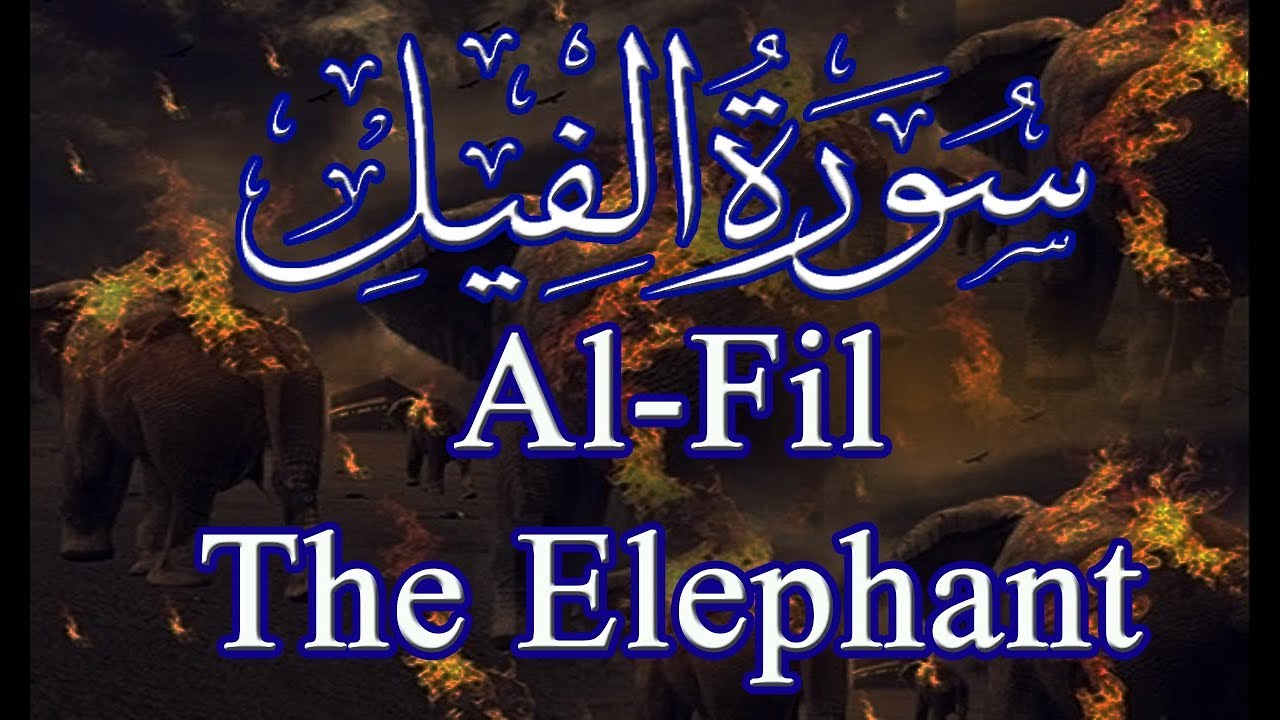 105- سورة الفيل -- The Elephant -- Al-Fil - YouTube