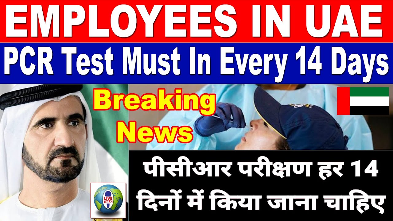 EMPLOYEES IN UAE | PCR TEST MUST IN EVERY 14 DAYS | UAE RESIDENT | LIVE ...