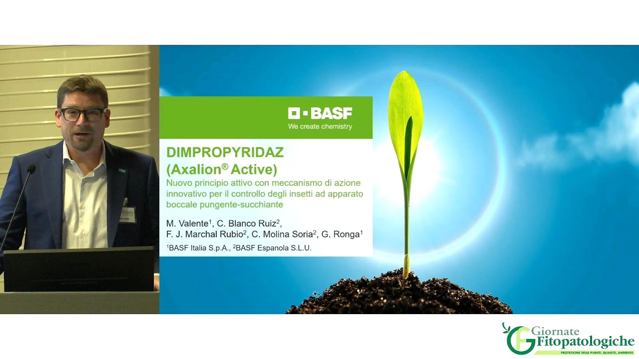 GF 2024 - Dimpropyridaz, nuovo principio attivo per insetti ad apparato ...